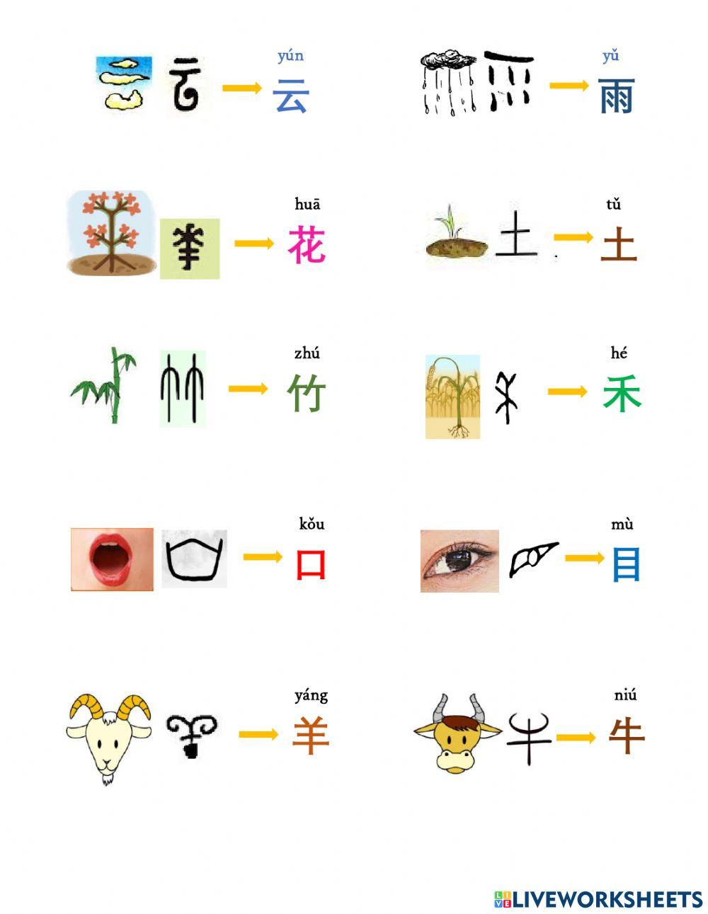 Chinese charater | Free Interactive Worksheets | 961894