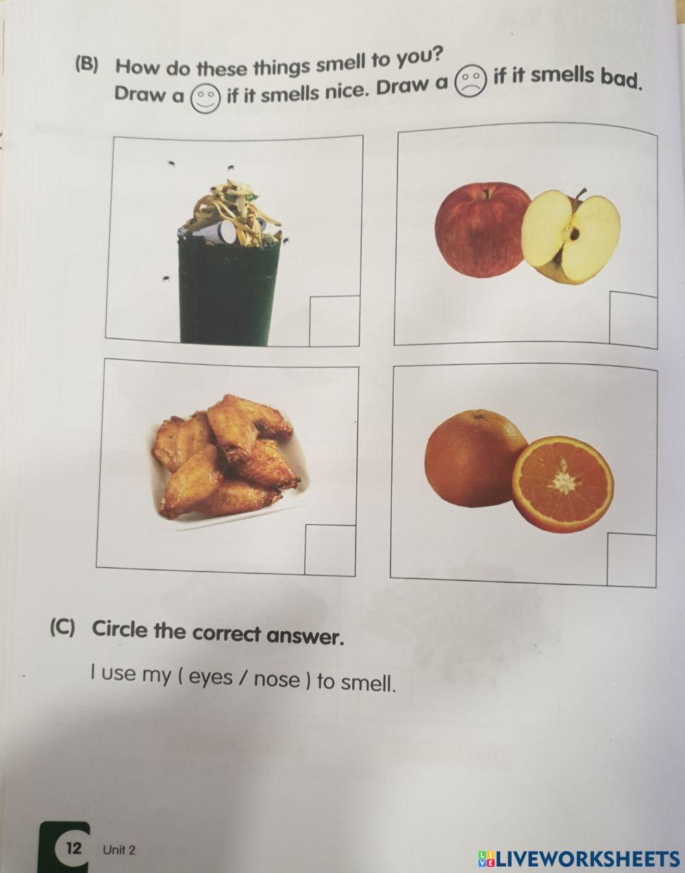 Objects free exercise | Live Worksheets