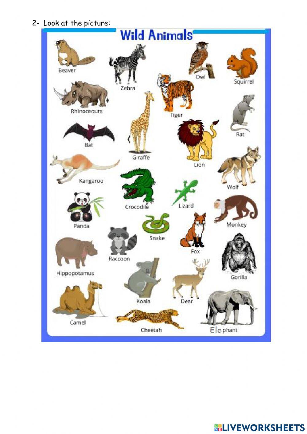 Wild animals online exercise for GRADE 3-4 | Live Worksheets
