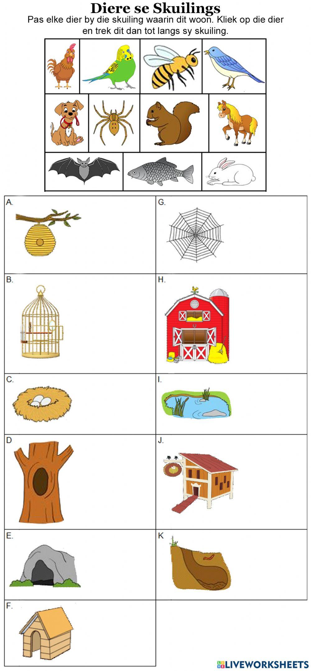 Diere se Skuilings 0507 | Mari_K | Live Worksheets