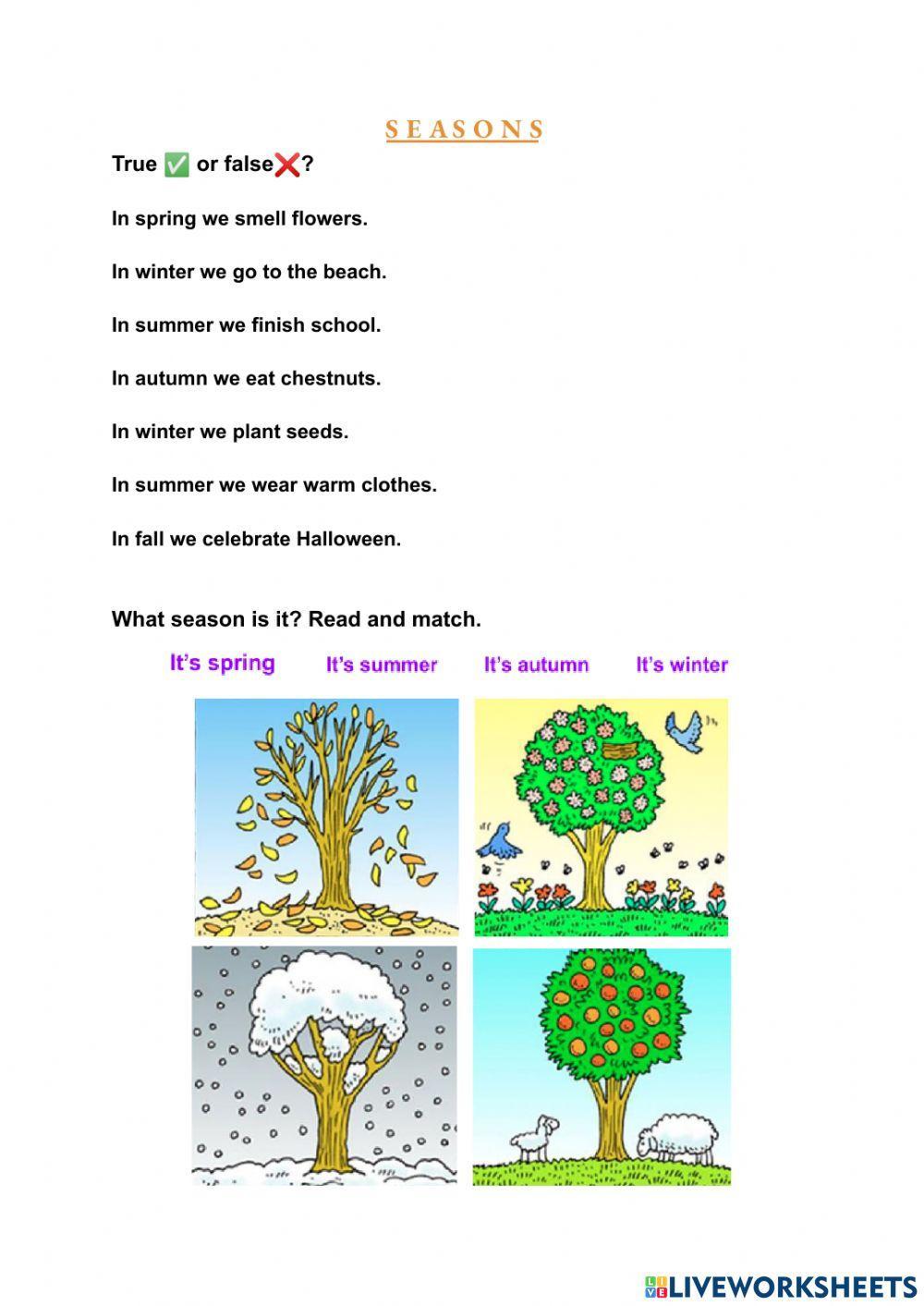 The Seasons Online Pdf Exercise Live Worksheets