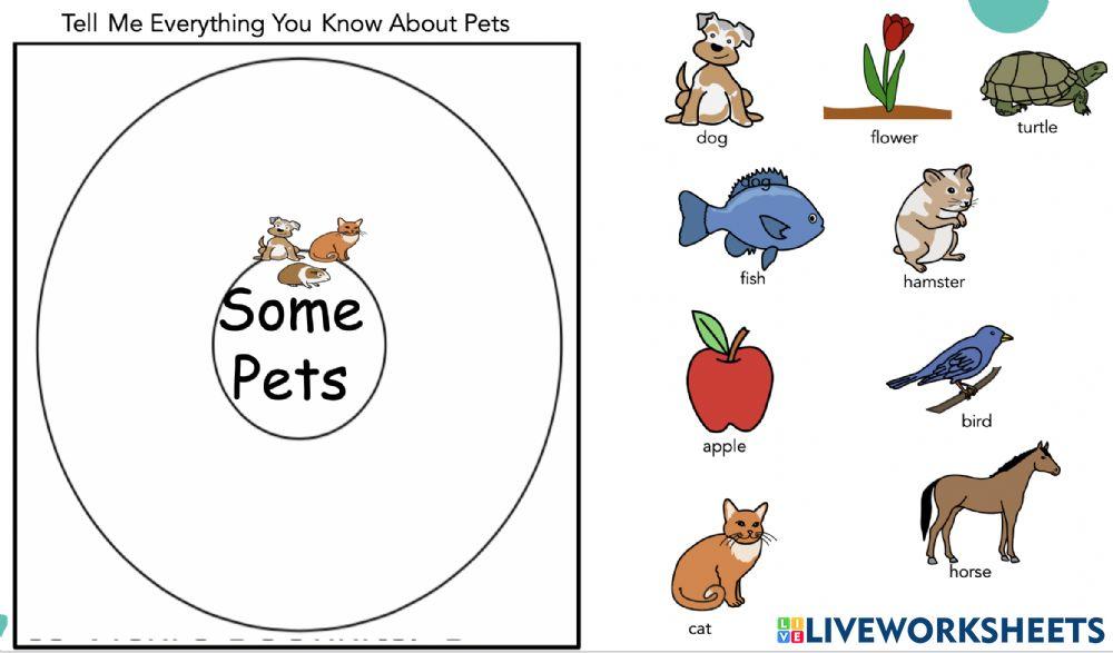 Tell Me Everything You Know About Pets 2 worksheet | Live Worksheets