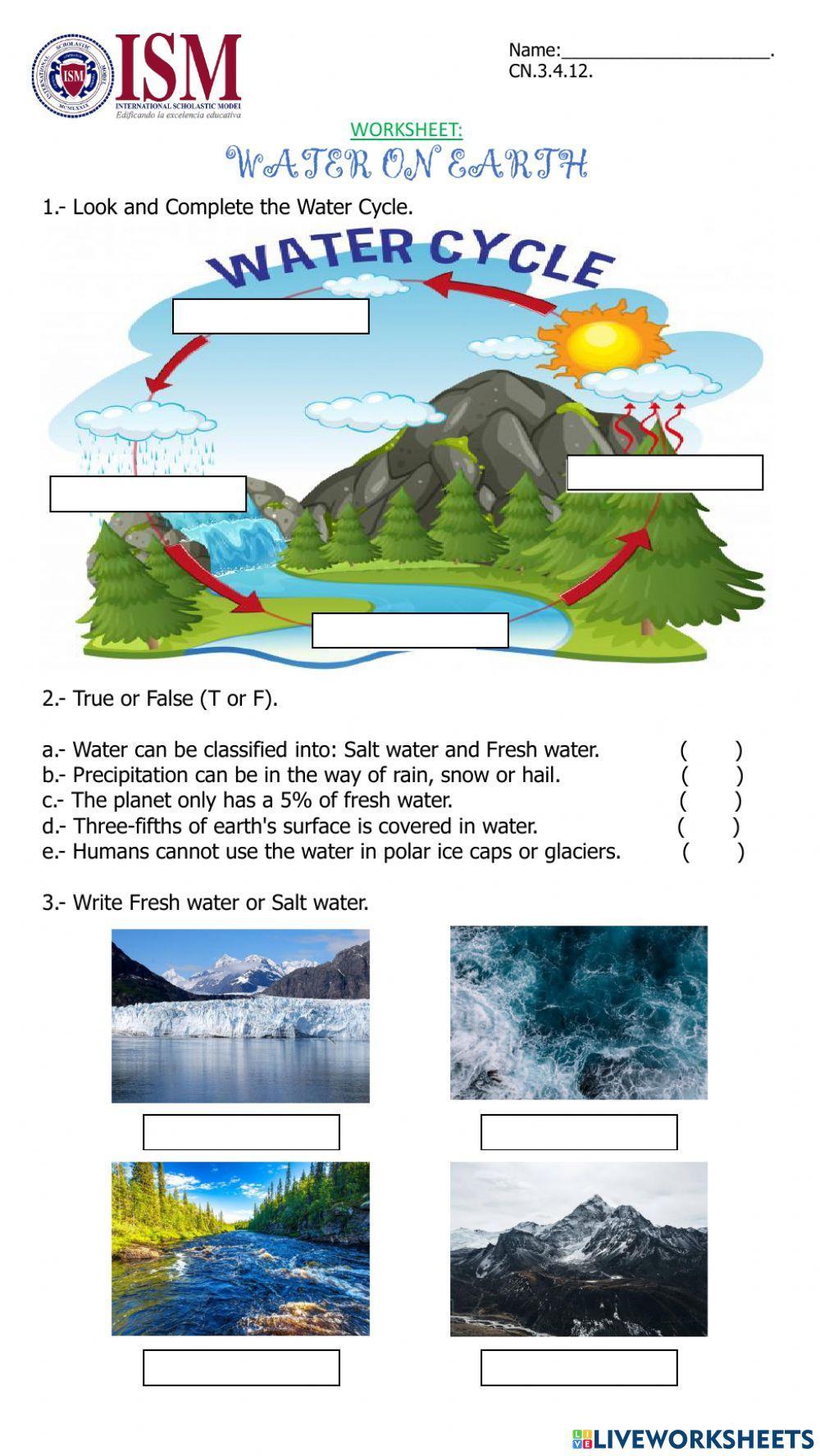 Water cycle: sa… | Free Interactive Worksheets | 883557