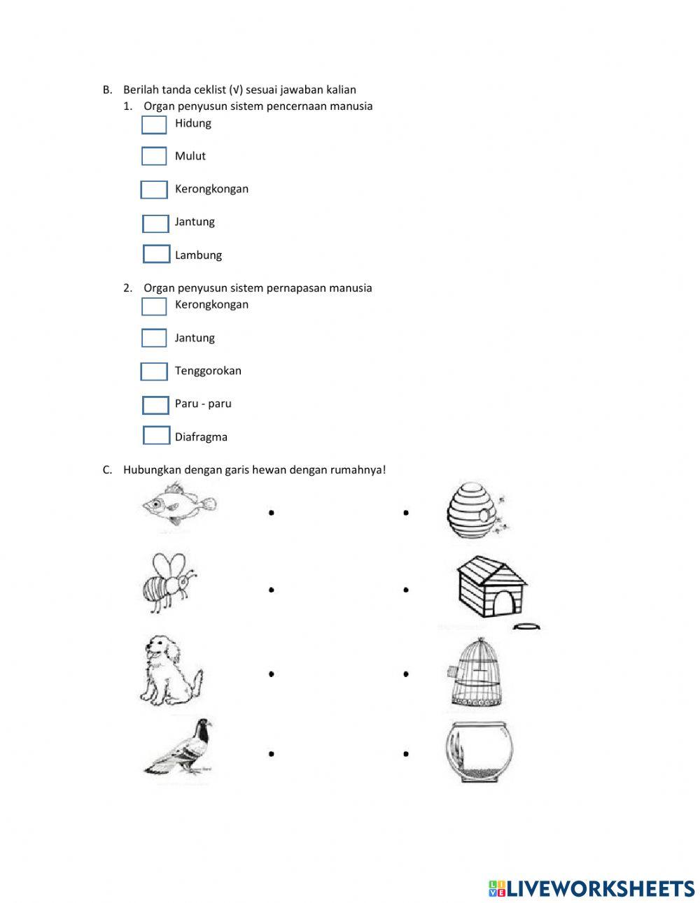 Trial worksheet by agnes co worksheet | Live Worksheets