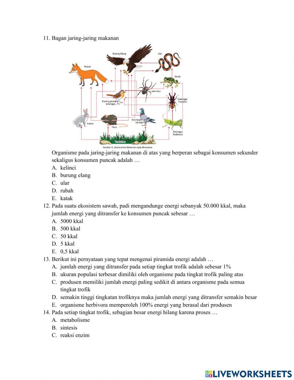 Soal online practice | Live Worksheets