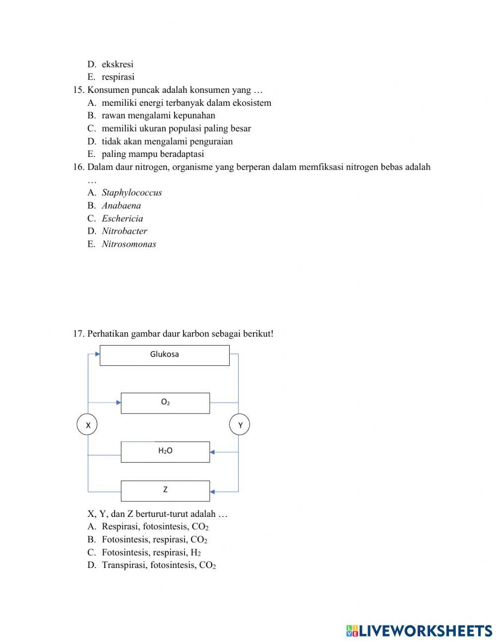 Soal online practice | Live Worksheets