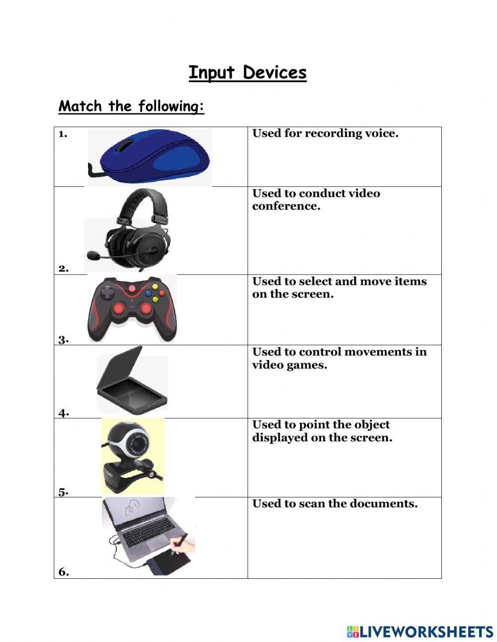Input Devices Worksheet