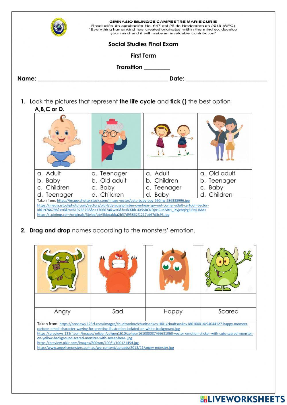 Social studies Exam Transition, 1st term worksheet | Live Worksheets