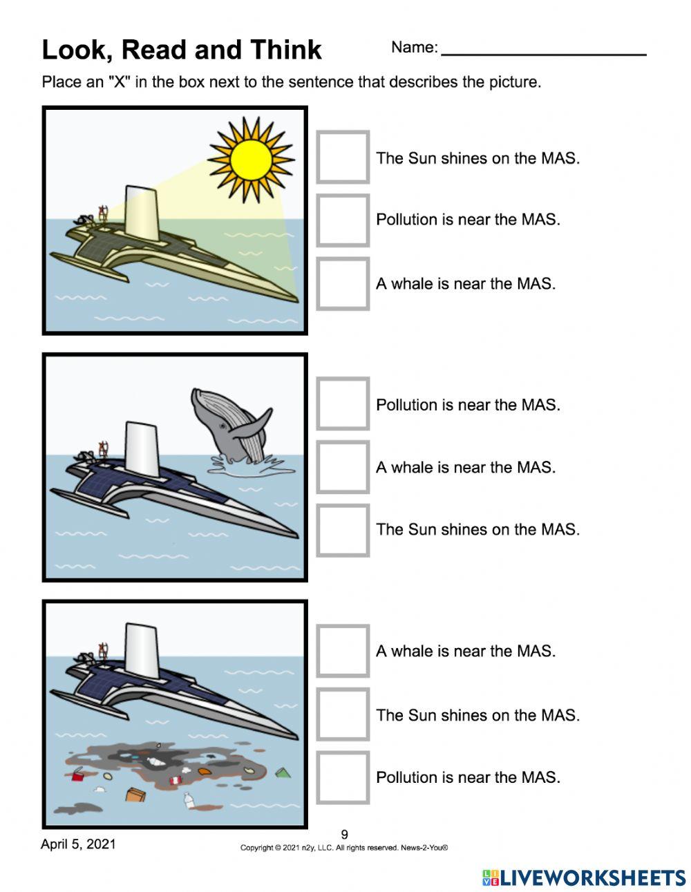 N2Y - Special S… | Free Interactive Worksheets | 6522497
