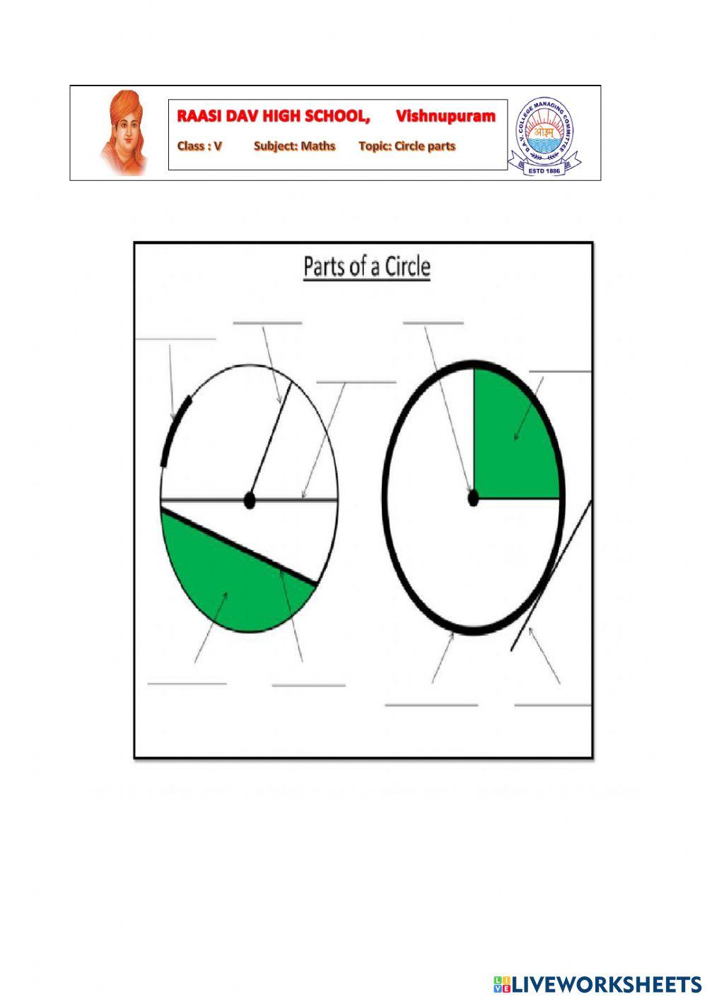 Circle Worksheet interactive worksheet | Live Worksheets