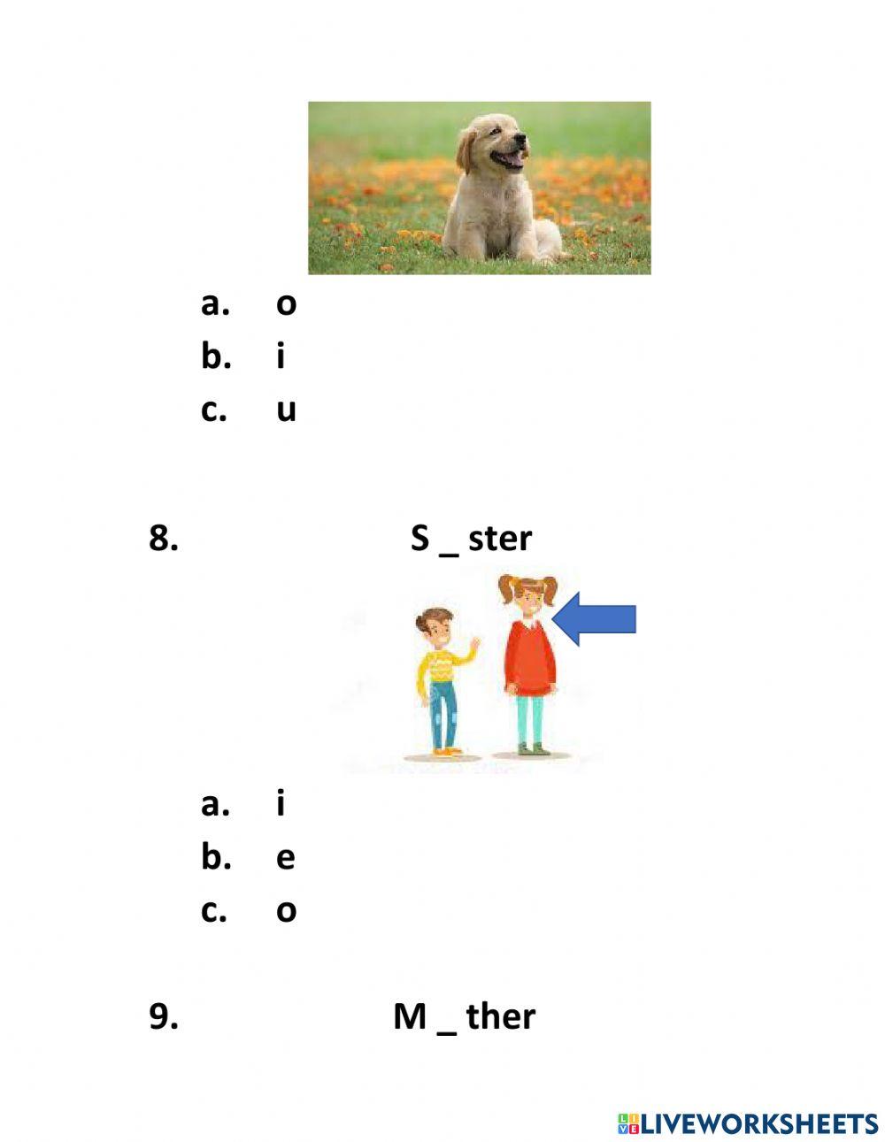 1st Term Exam worksheet | Live Worksheets