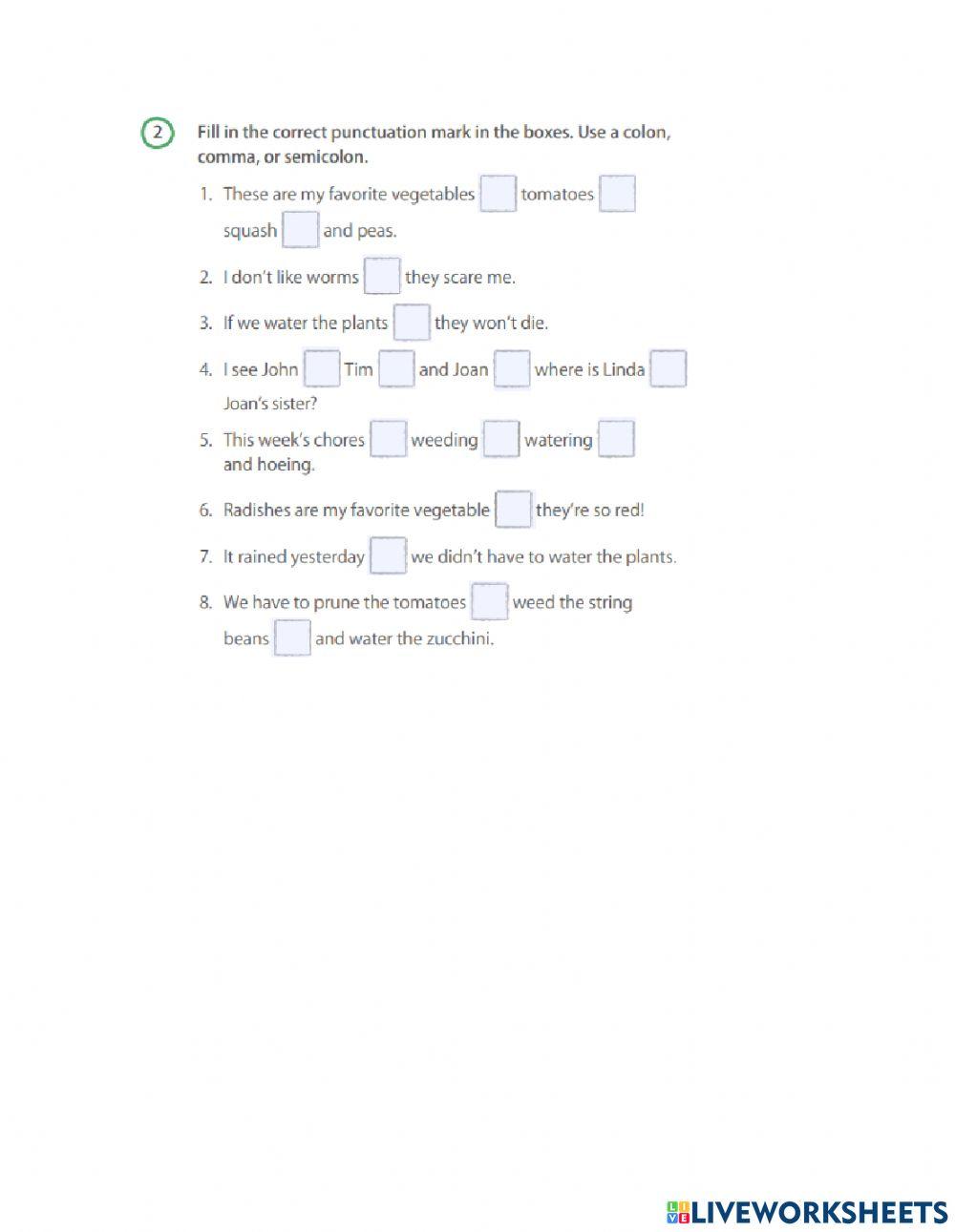 colon punctuation worksheet