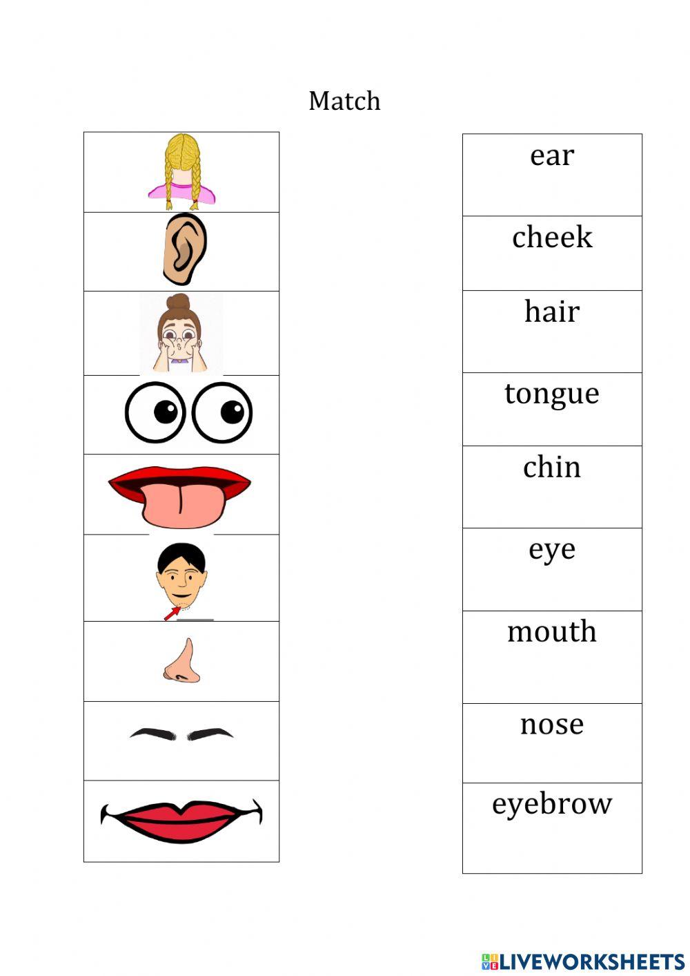 Head online exercise for | Live Worksheets