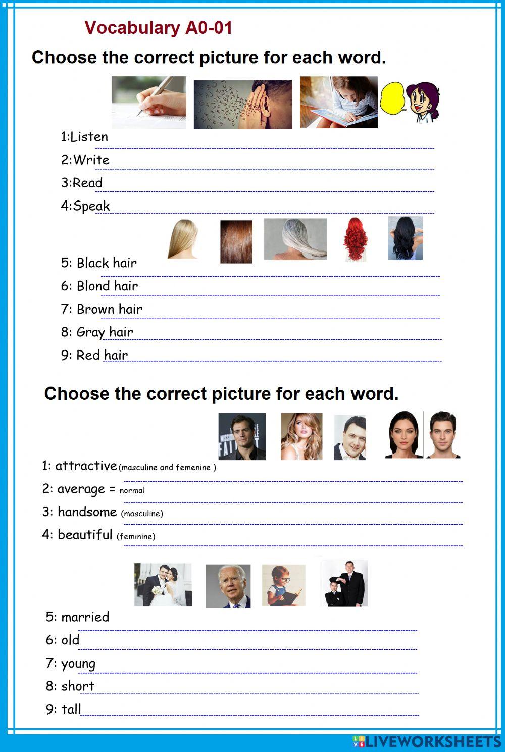 A0-01 Vocabulary worksheet | Live Worksheets