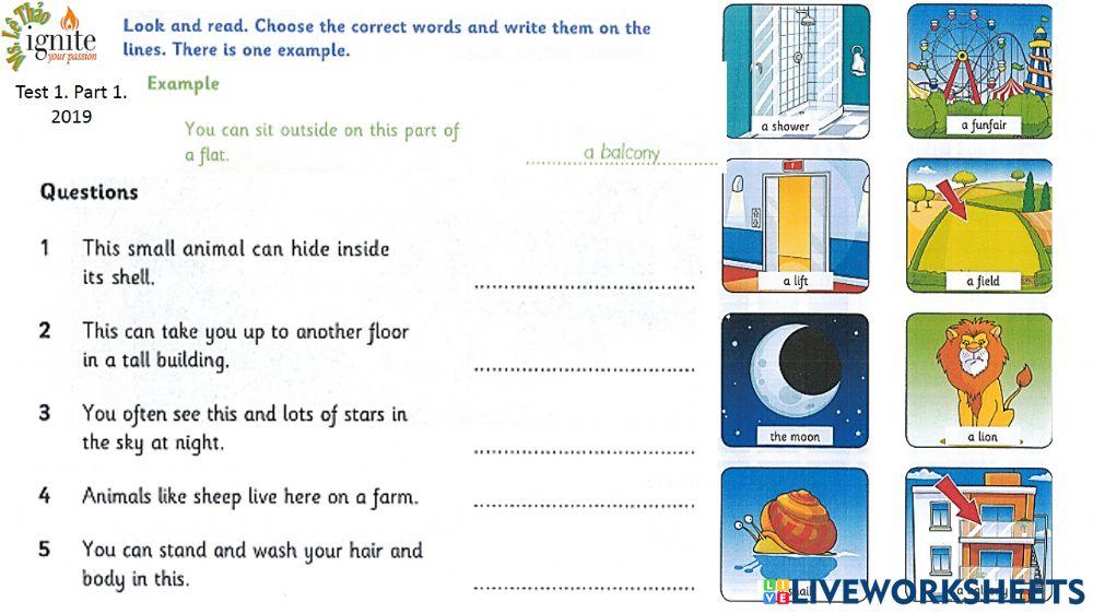 Movers. 2019. Test 1. Part 1 | Le Thi Thanh Thao | Live