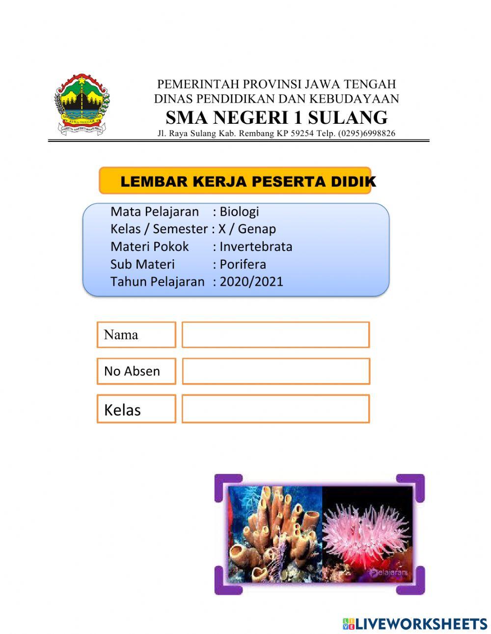 Lkpd porifera worksheet | Live Worksheets