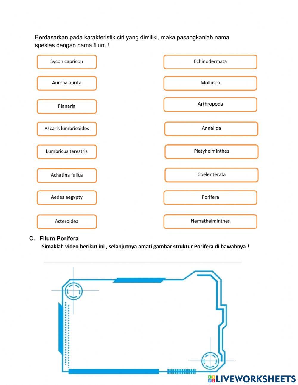 Lkpd porifera worksheet | Live Worksheets