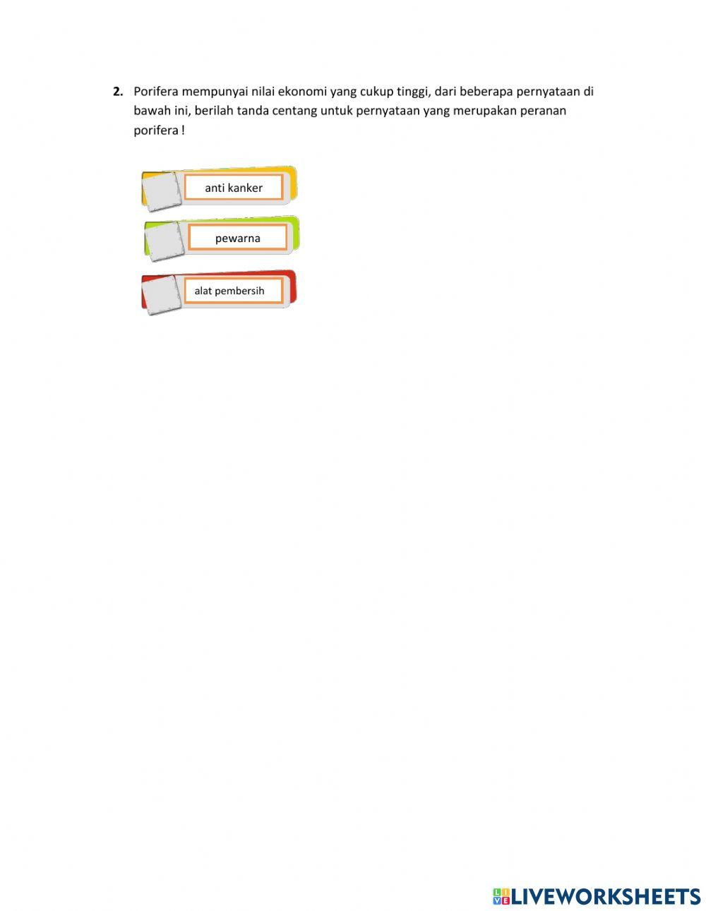 Lkpd porifera worksheet | Live Worksheets