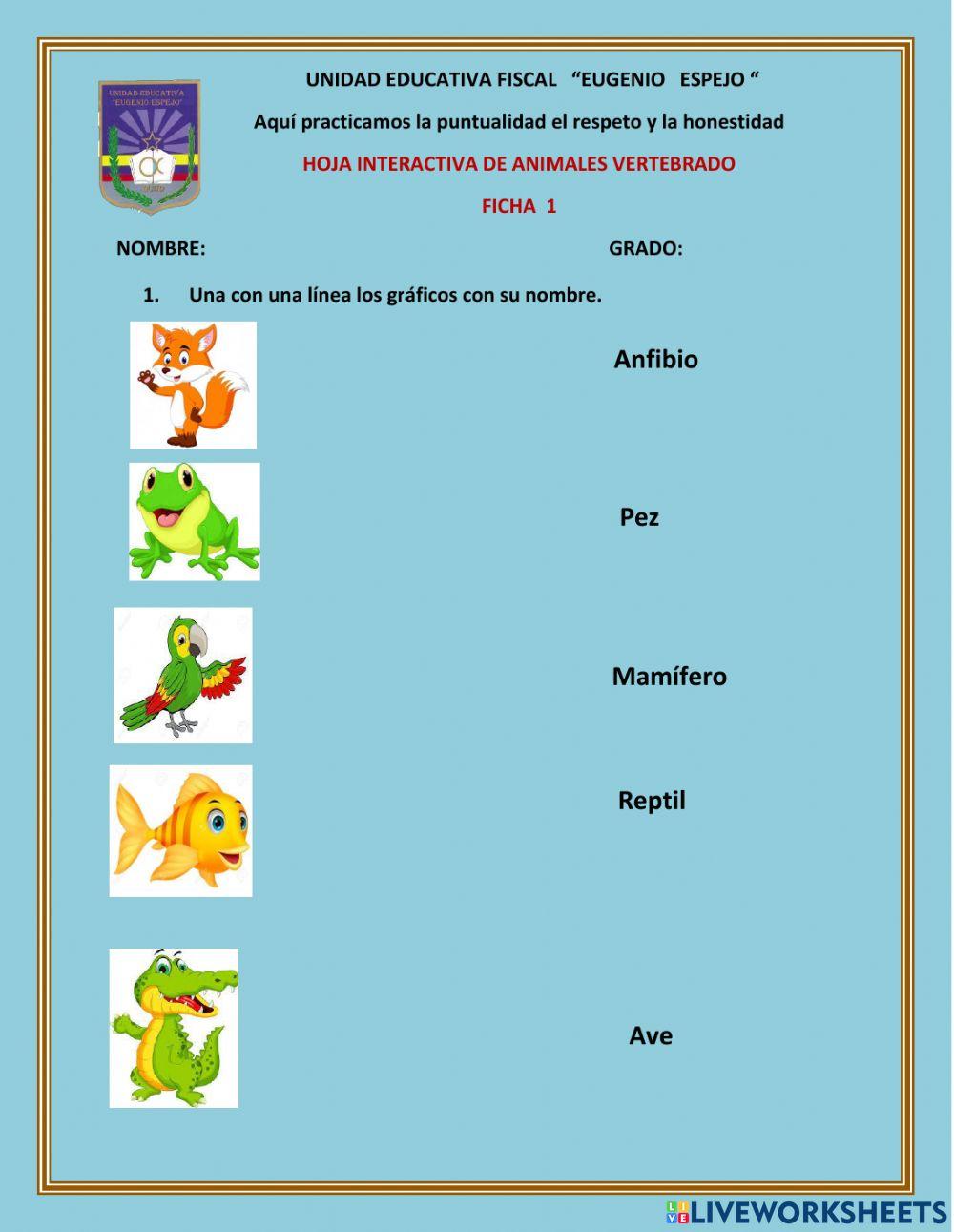 Animales vertebrados online pdf worksheet | Live Worksheets