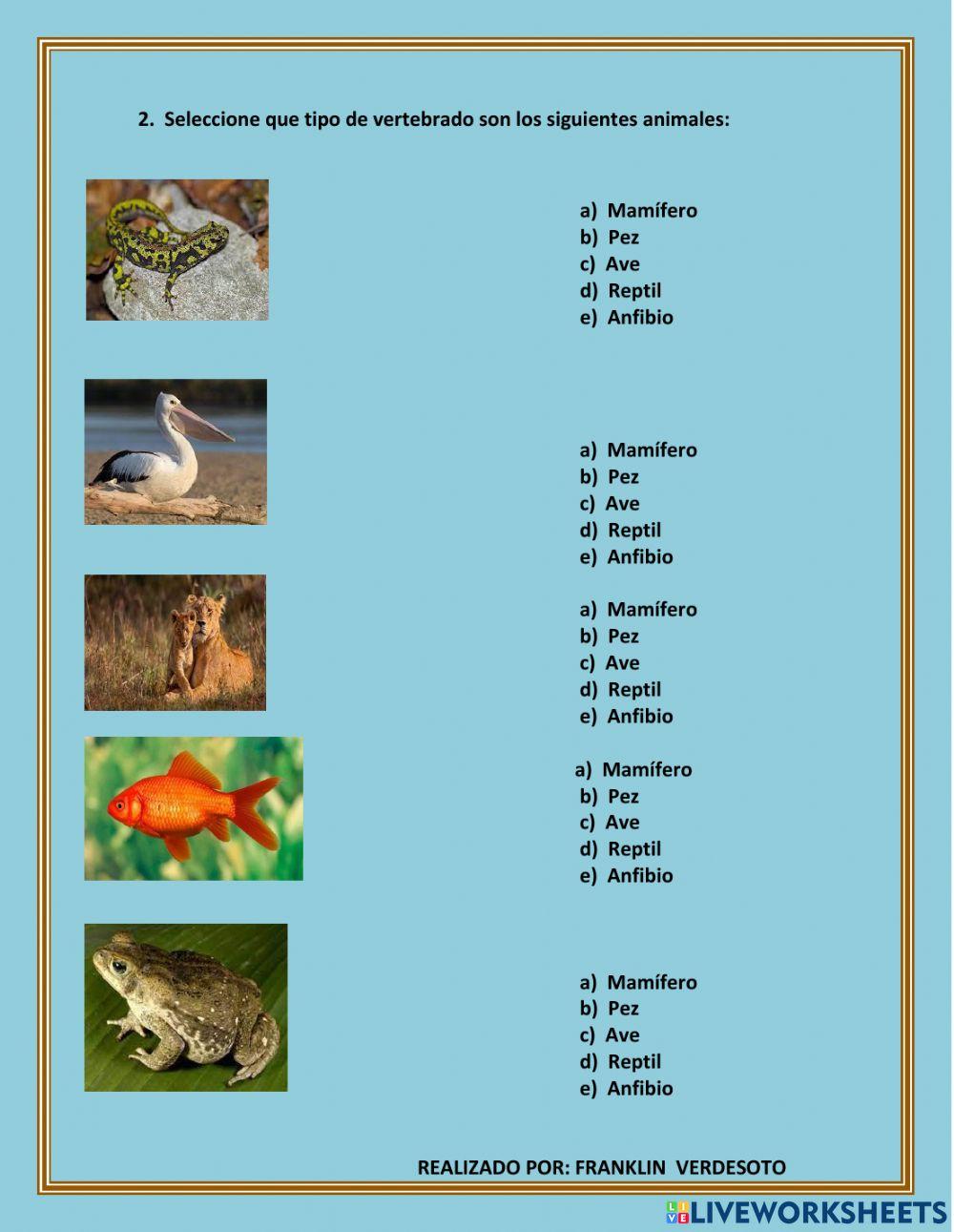 Animales vertebrados online pdf worksheet | Live Worksheets