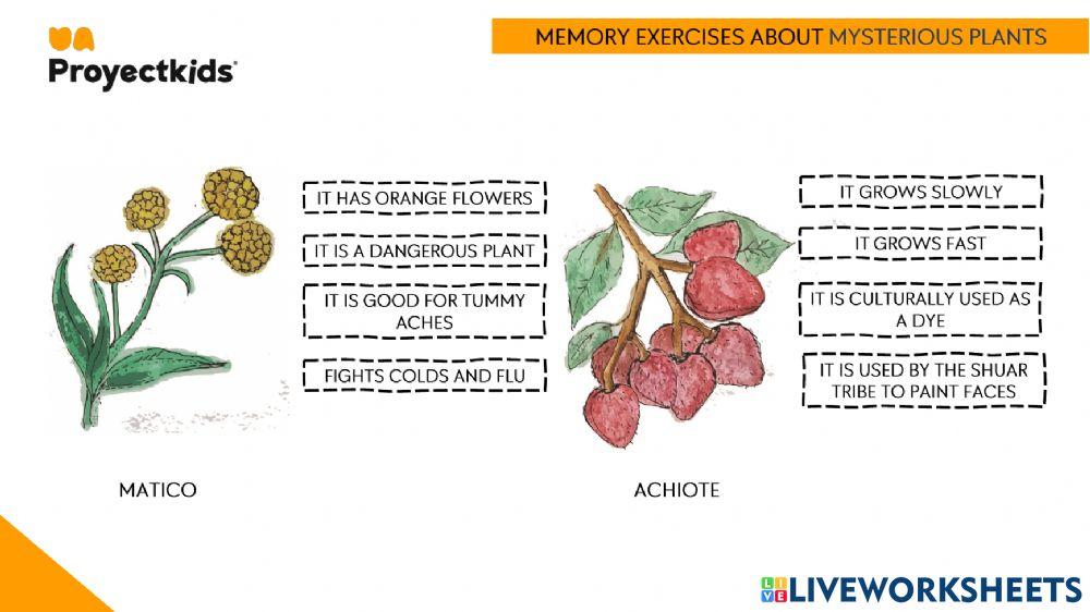 MYSTERIOUS PLANTS memory exercises online exercise for | Live Worksheets