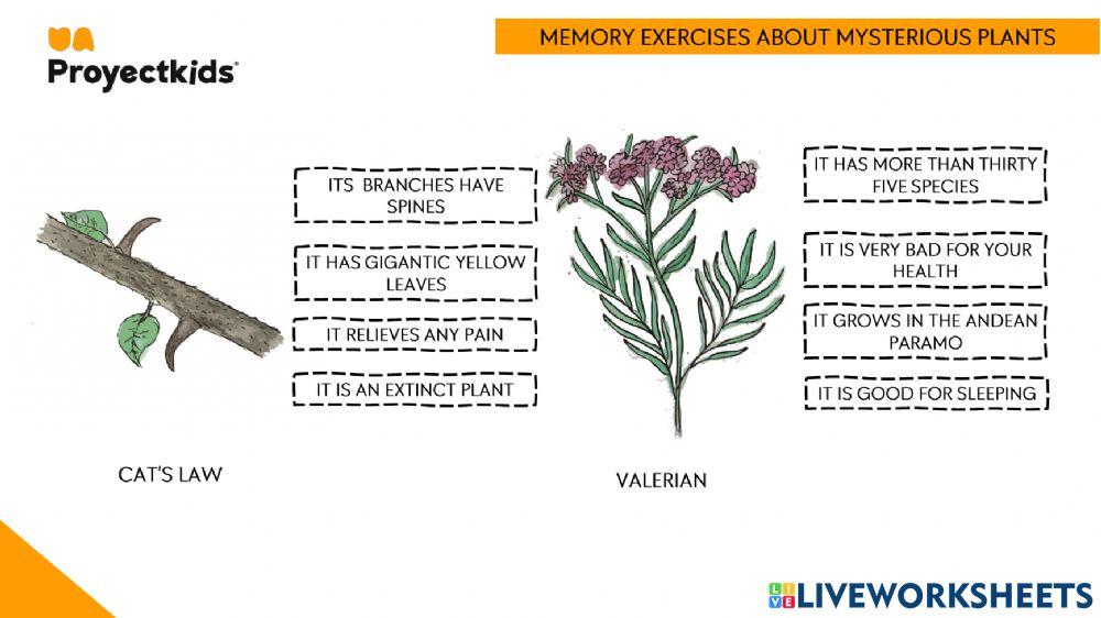 MYSTERIOUS PLANTS memory exercises online exercise for | Live Worksheets