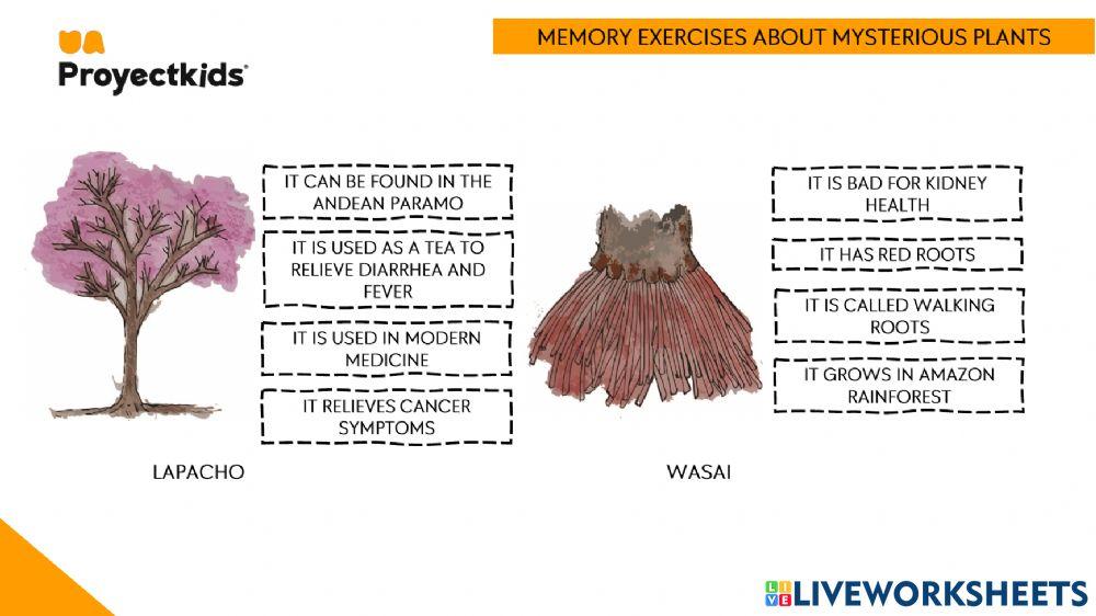 MYSTERIOUS PLANTS memory exercises online exercise for | Live Worksheets