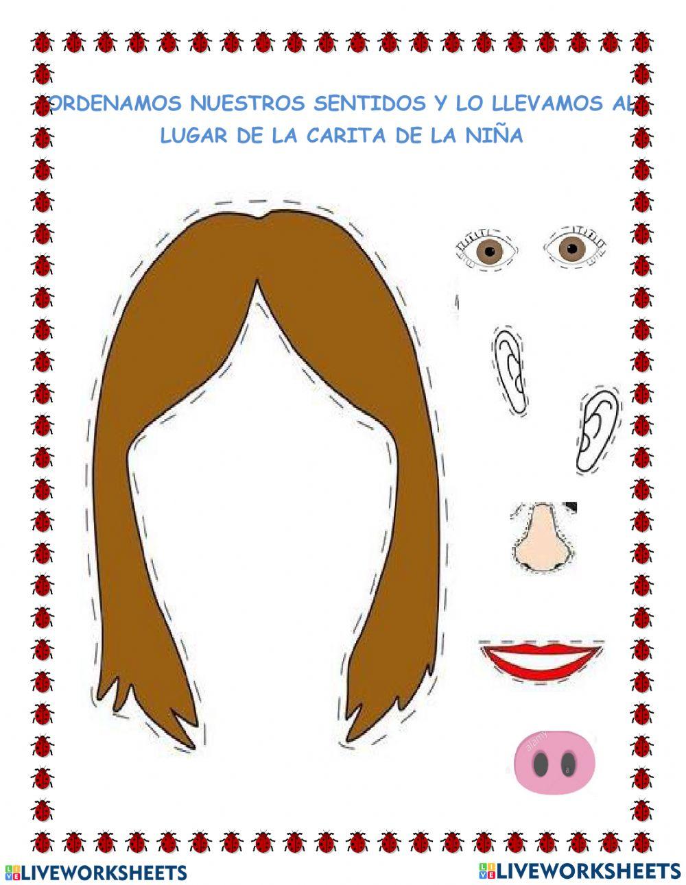 962214 | Los cinco sentidos | JESSICA_GRILLO