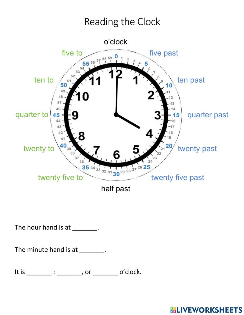 Clock - 4:00 worksheet | Live Worksheets