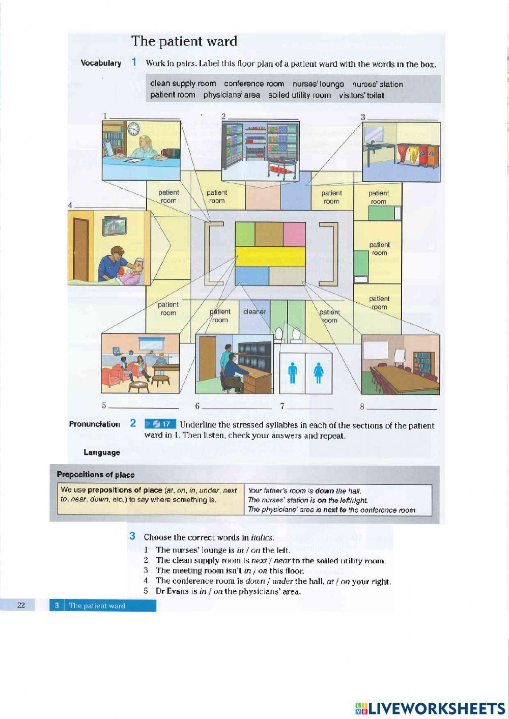Topic 1. Patient ward worksheet | Live Worksheets
