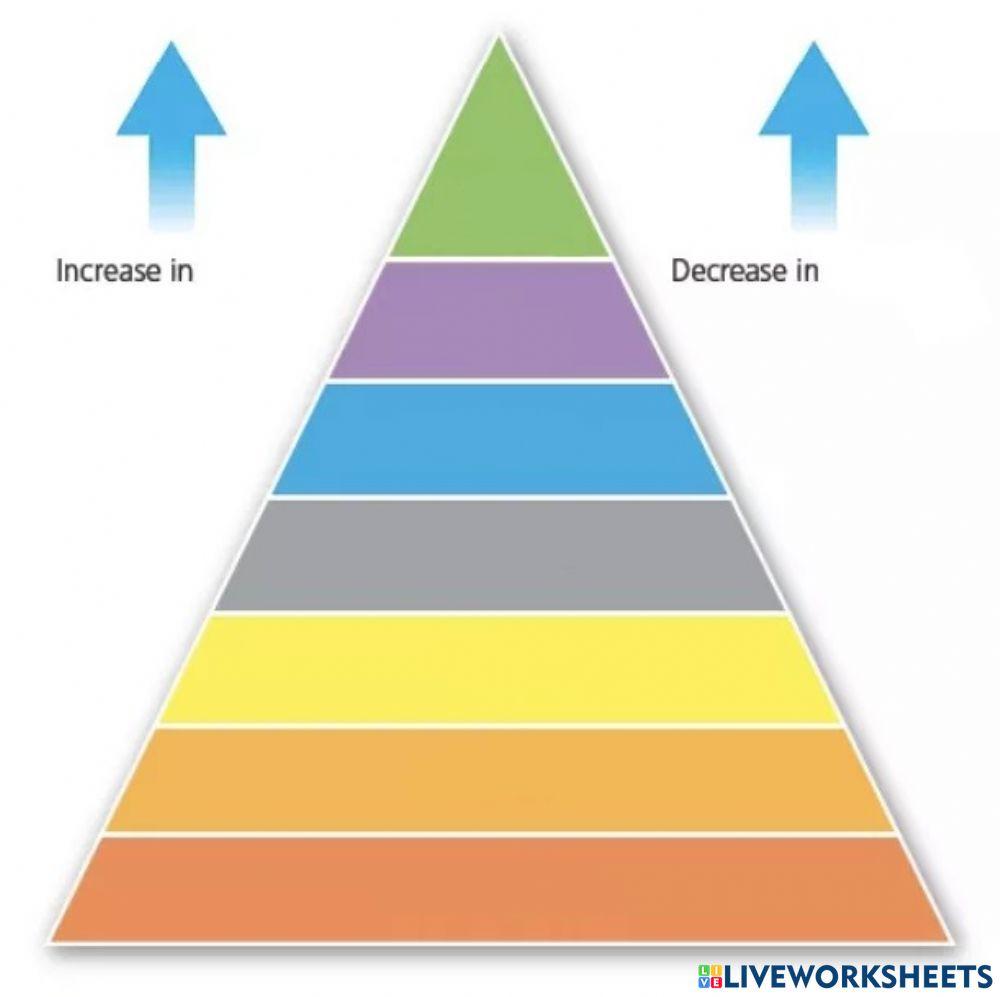 Settlement Hier… | Free Interactive Worksheets | 987296