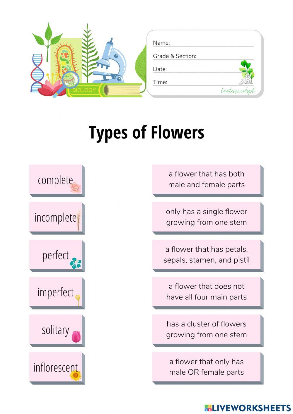 Types of Flowers - HuntersWoodsPH Biology worksheet | Live Worksheets