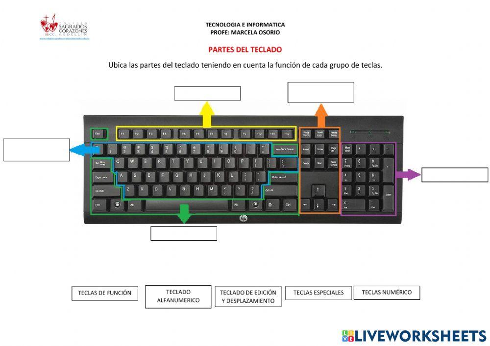 Partes Del Teclado 988186 Marcela Osorio Live