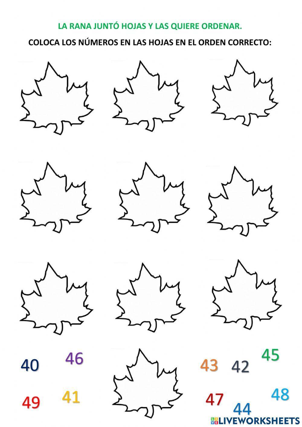 Familia del 40 exercise for PRIMERO | Live Worksheets