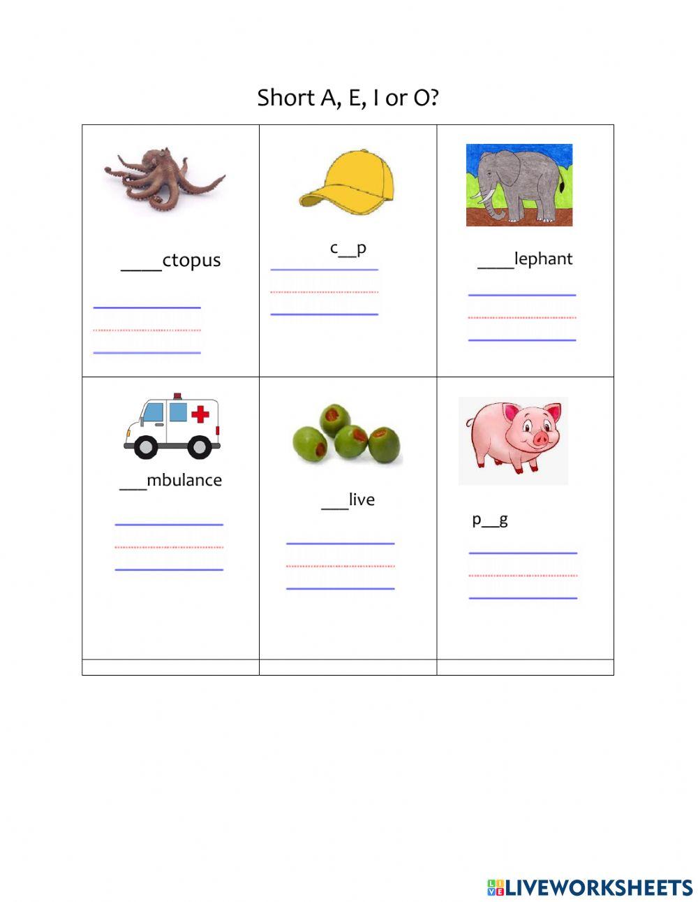 992055 | A, e, i, o | Shannon Range | LiveWorksheets