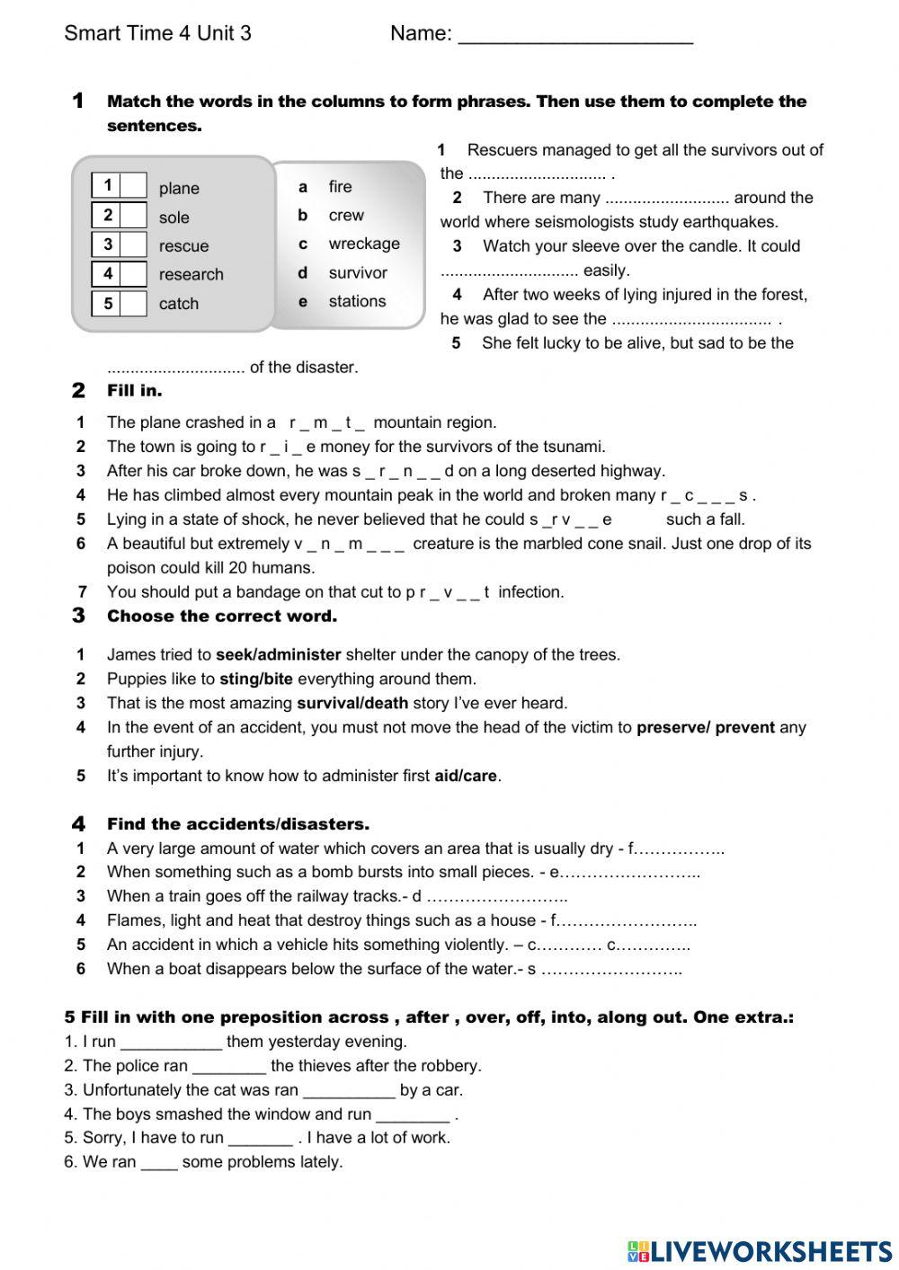Past perfect, Conditionals, survial worksheet | Live Worksheets