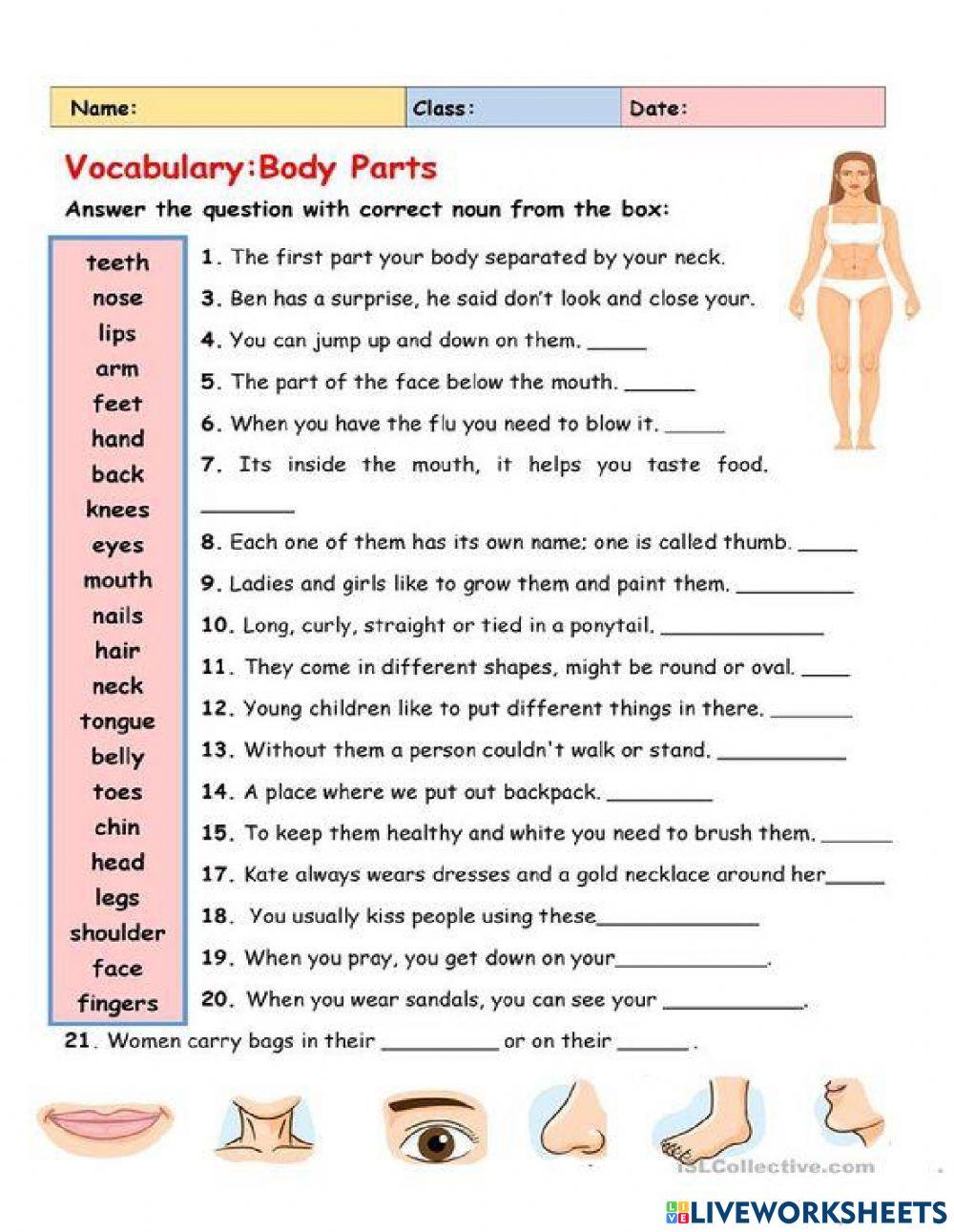 Vocabulary - Body Parts - Fourth Grade D online exercise for | Live ...