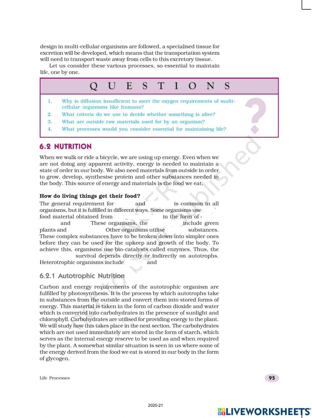 Types of Nutrition - Introduction 5009343 | Sapna Ullas