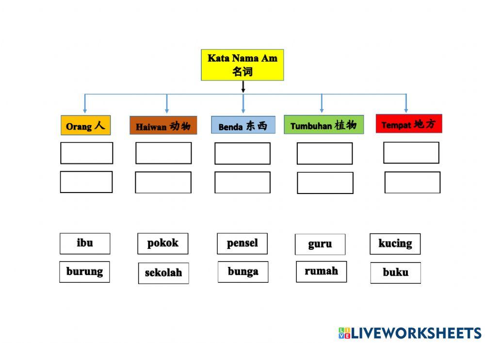 Kata Nama Am exercise for 2 | Live Worksheets