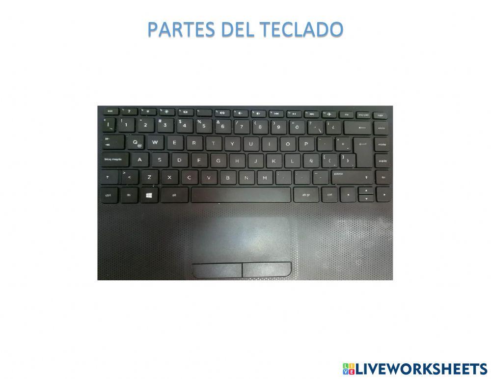 Partes Del Teclado Interactive Exercise Live Worksheets