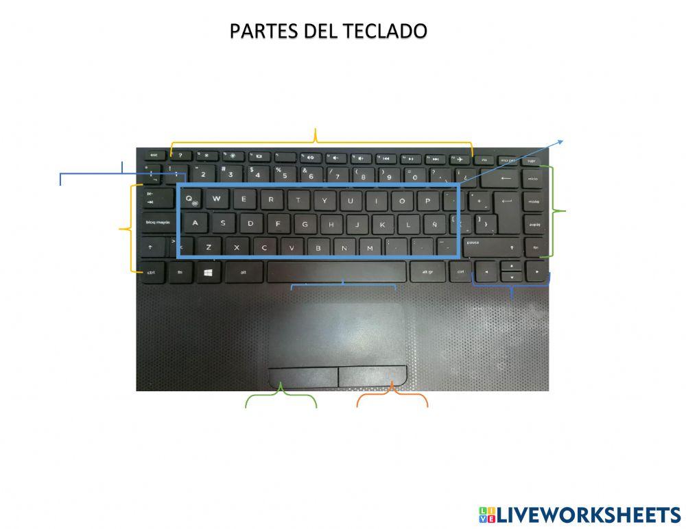 Partes Del Teclado Worksheet For 1 Basico Live Worksheets