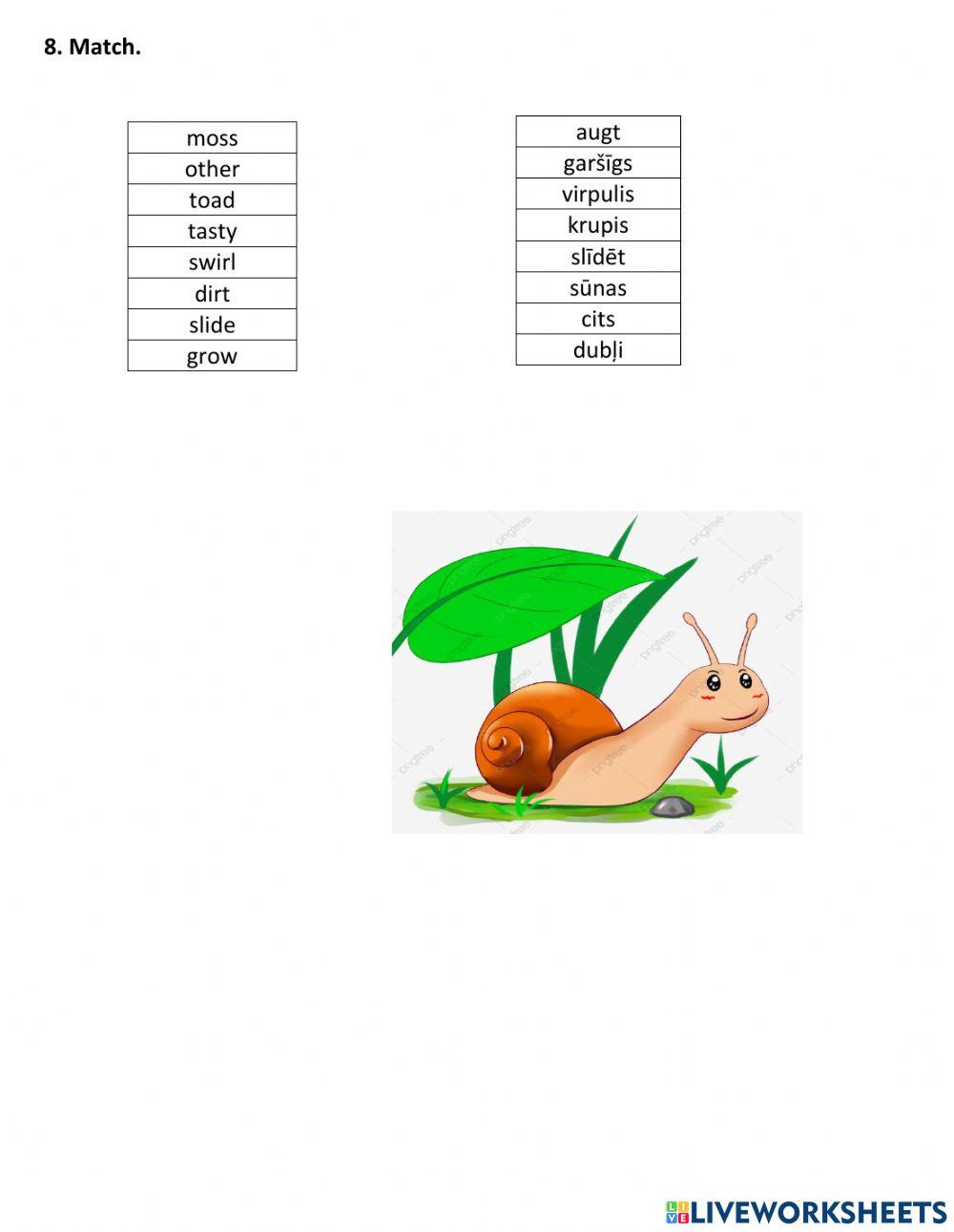 Wild animals. Snails. interactive worksheet | Live Worksheets
