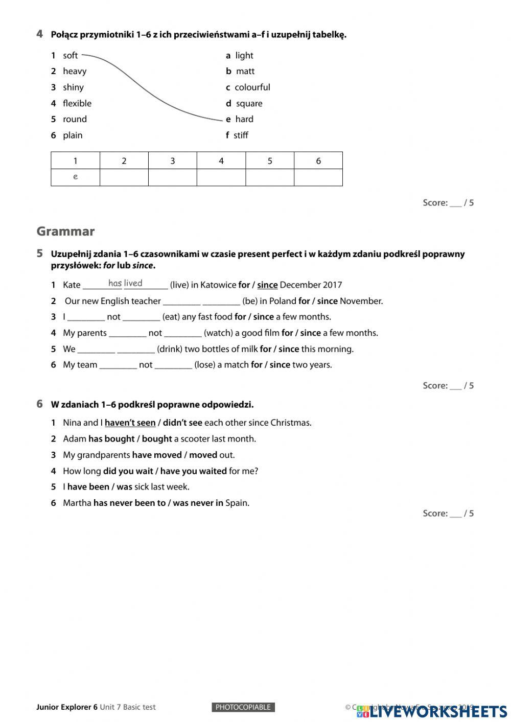 Junior explorer… | Free Interactive Worksheets | 6588224