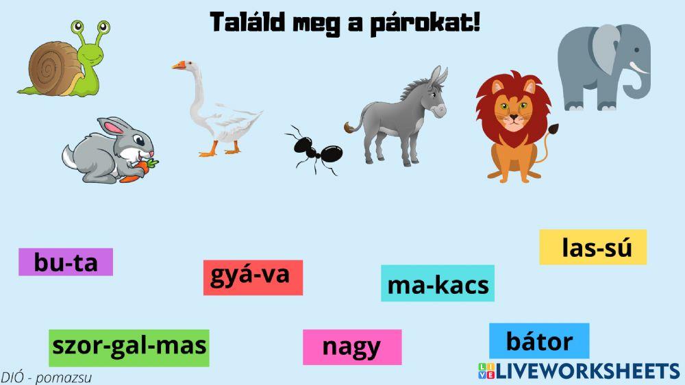 Olvasás exercise | Live Worksheets