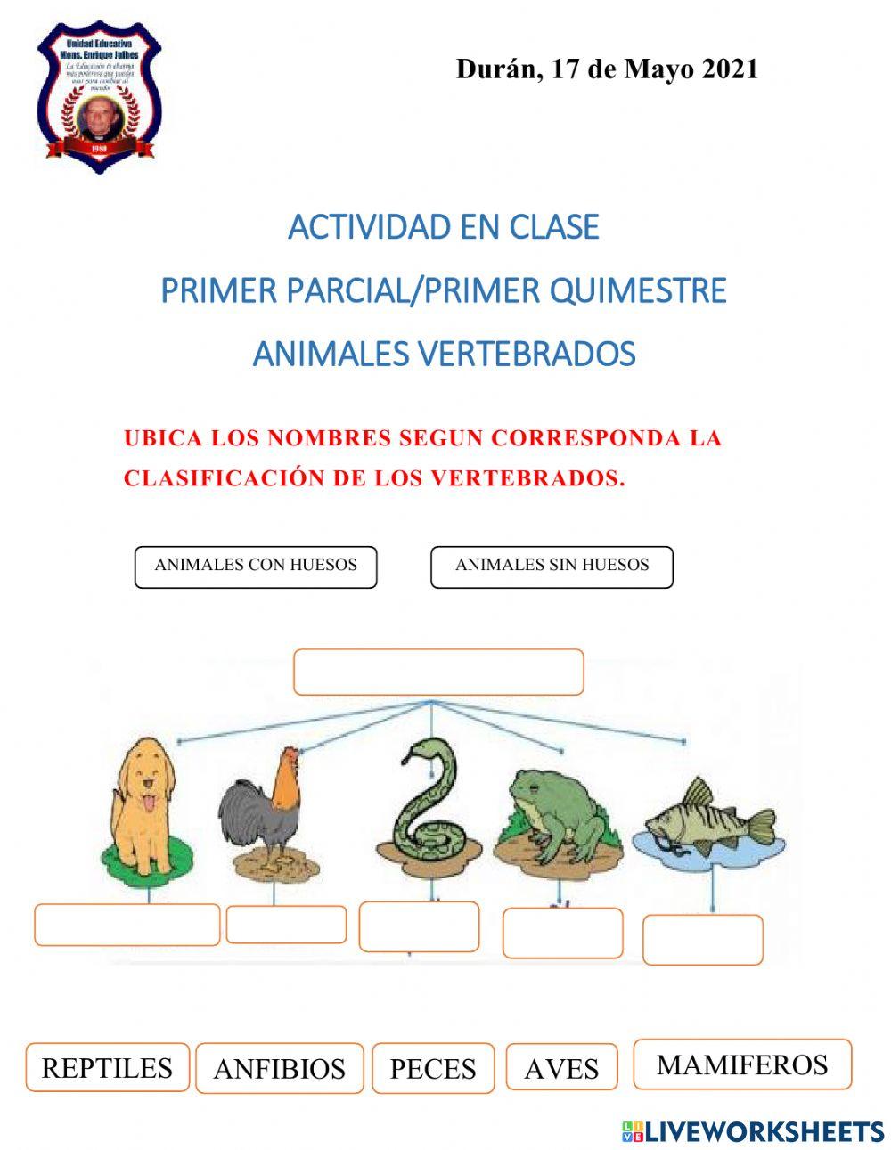 Vertebrados interactive activity for 5to | Live Worksheets