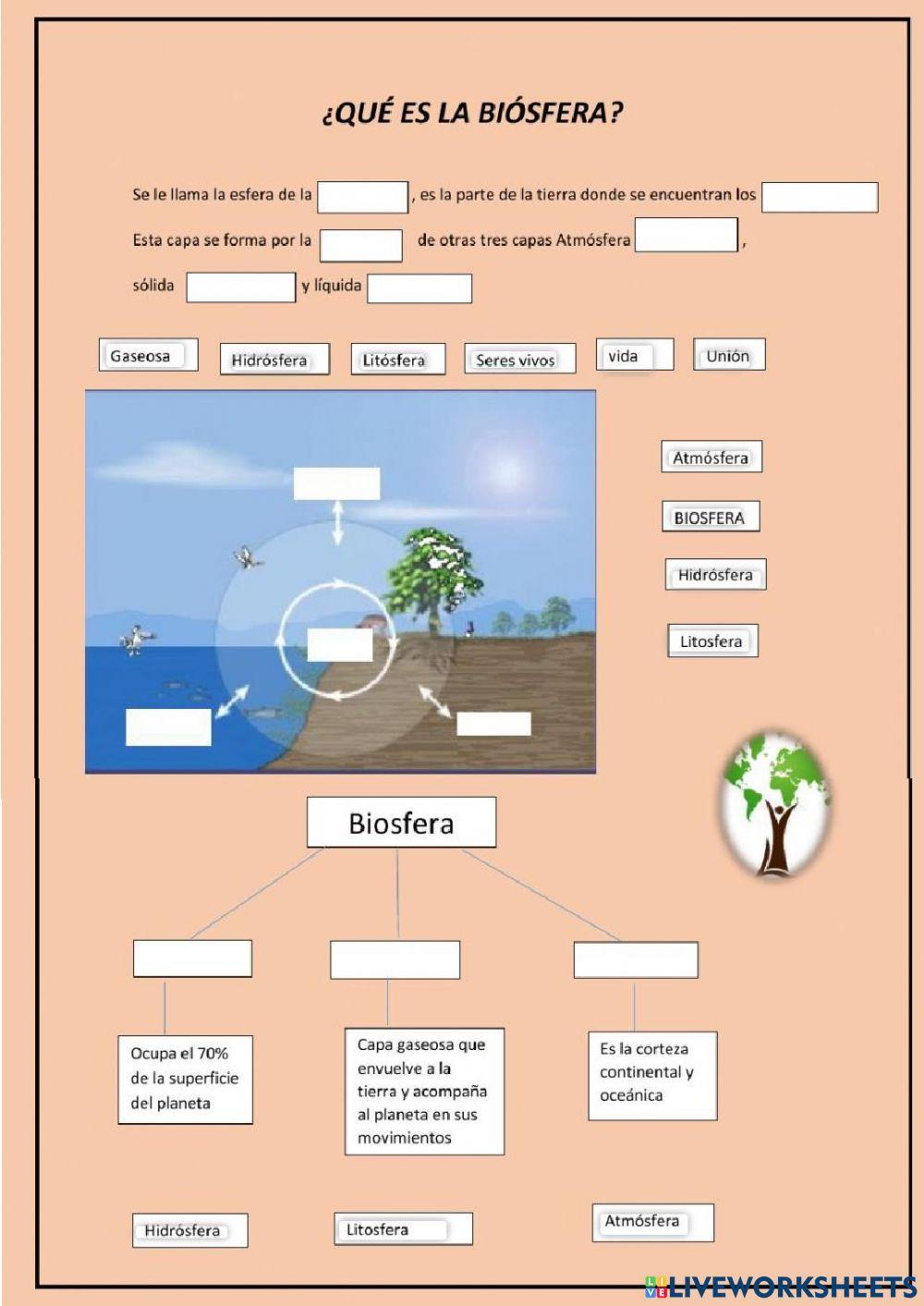 997654 | Biosfera | Paola_Vidal | LiveWorksheets