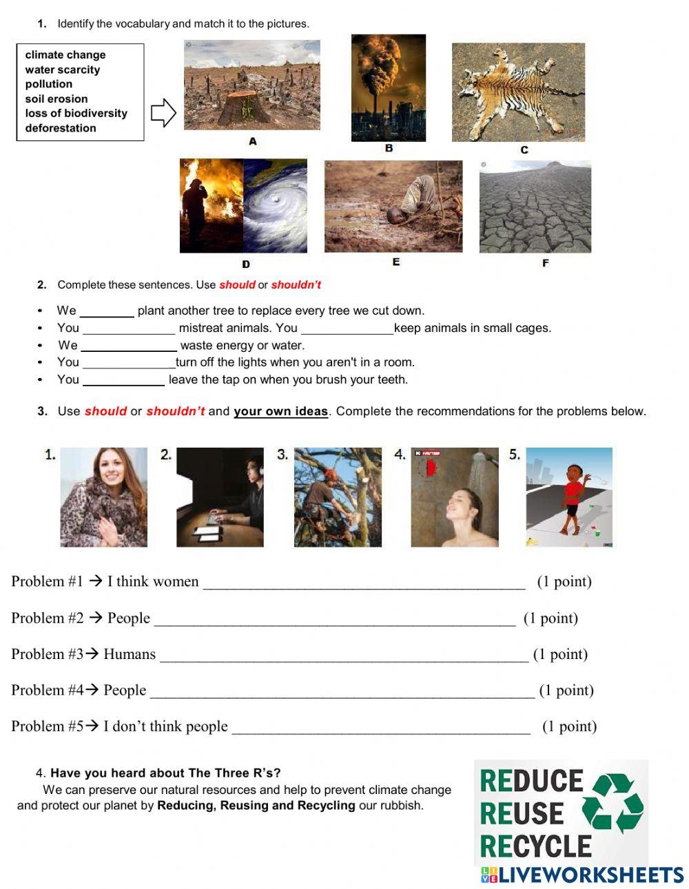 Should online activity for NIvel 2 | Live Worksheets