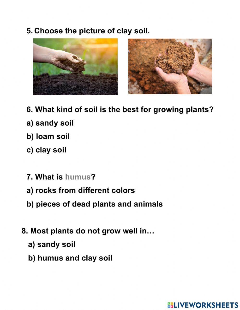 1000500 | Science quiz 2 | Mariana Sanchez Rosiles