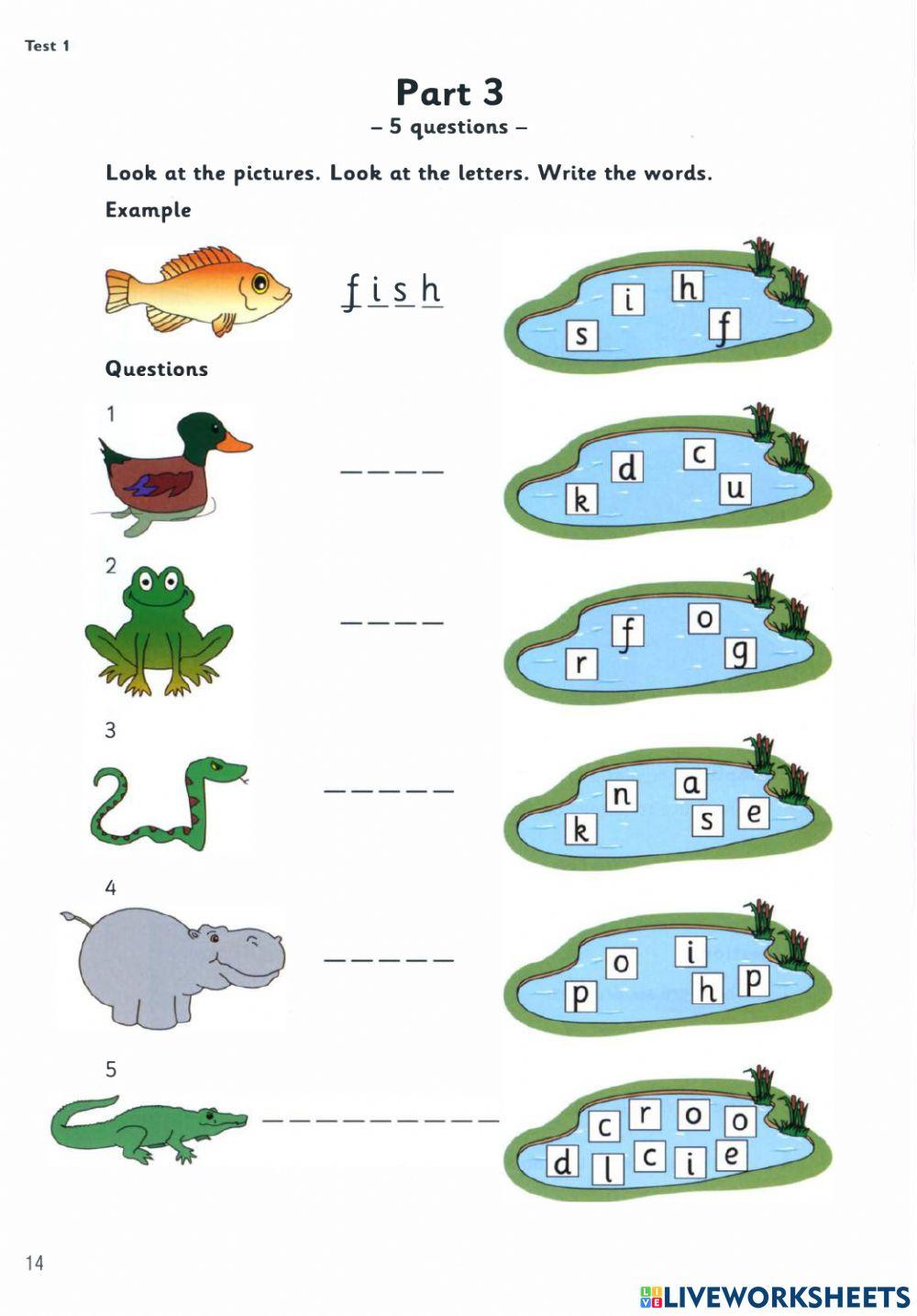 Starters 8 test 1 reading 6590635 | AxonHop