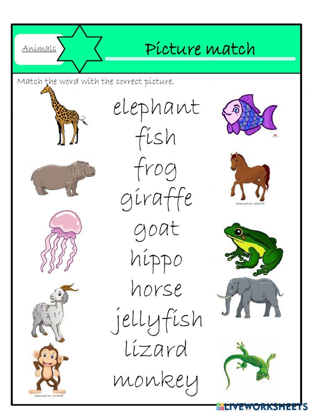 Starters animal… | Free Interactive Worksheets | 1001193